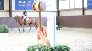 Sport Horse Sales | Holger Hetzel